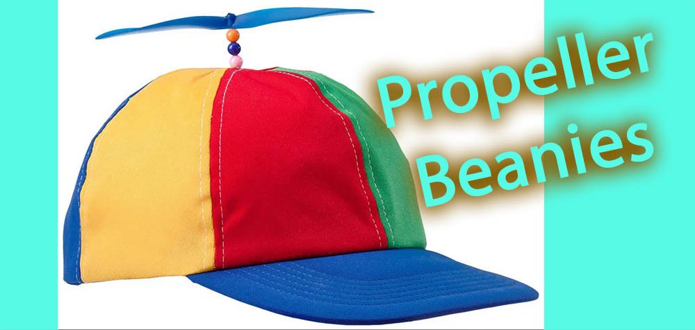 Propeller Beanie - Still Have Mine! - American Memory Lane